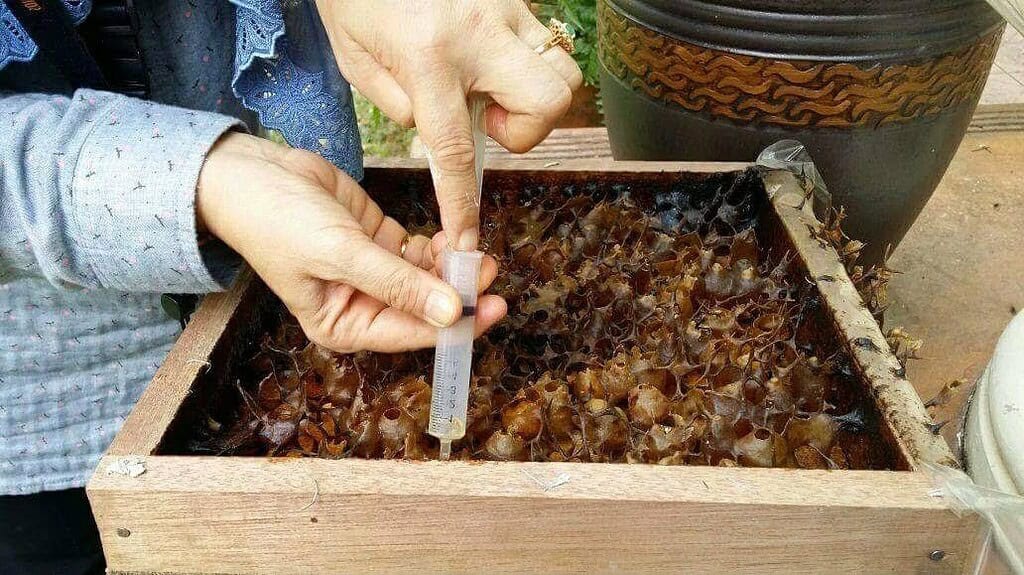 Tips pemilihan dan penggunaan mesin penyedut madu – MyTradeBee
